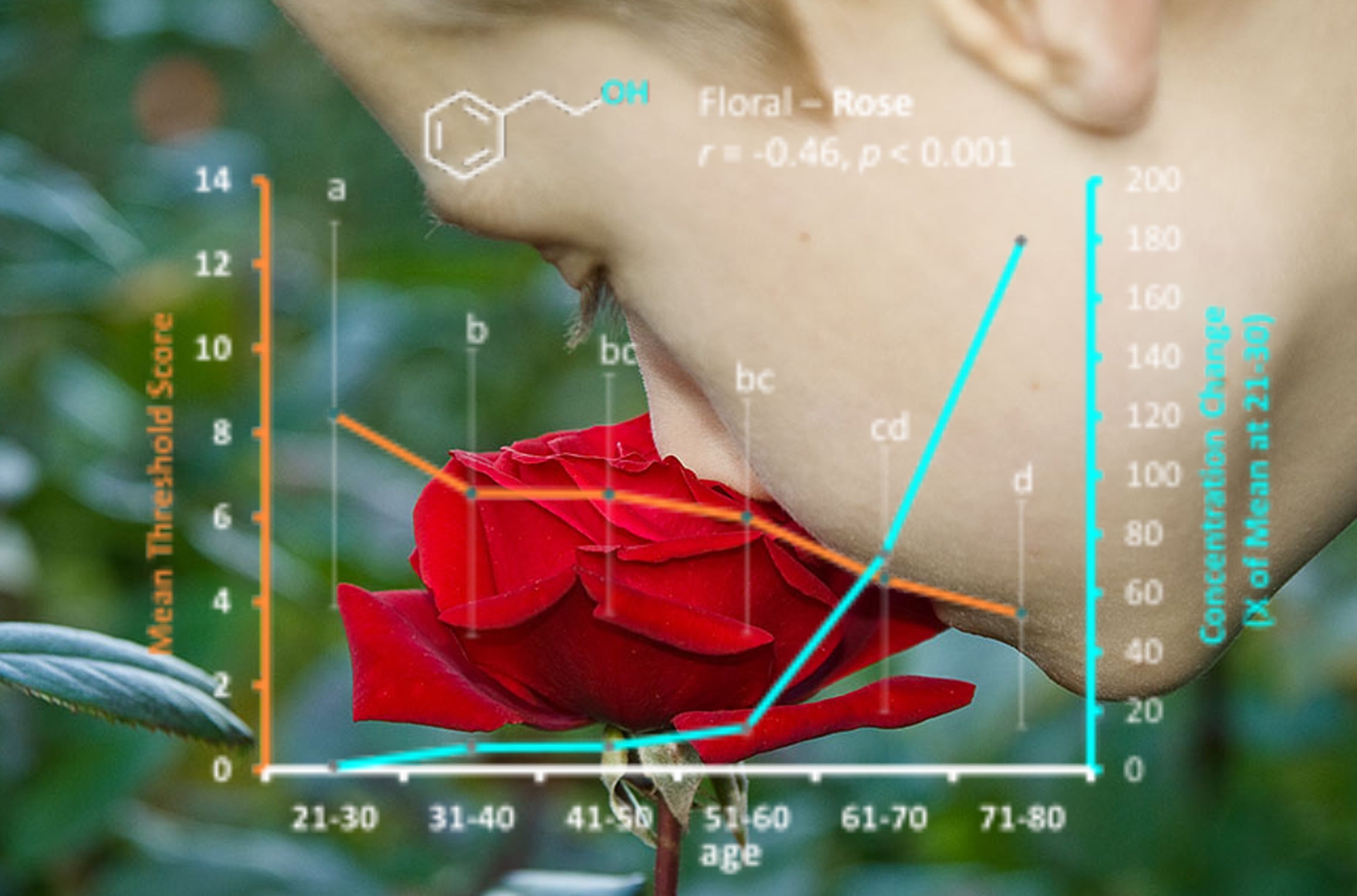 Sense of rose scent changes as we age - NUS Faculty of Science | NUS ...