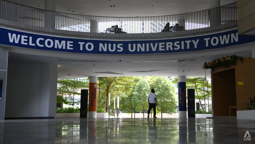 Local universities looking to resume overseas exchange programmes from ...