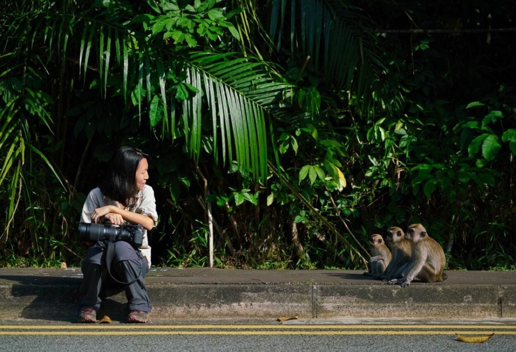 Not monkey business - NUS Faculty of Science | NUS Faculty of Science