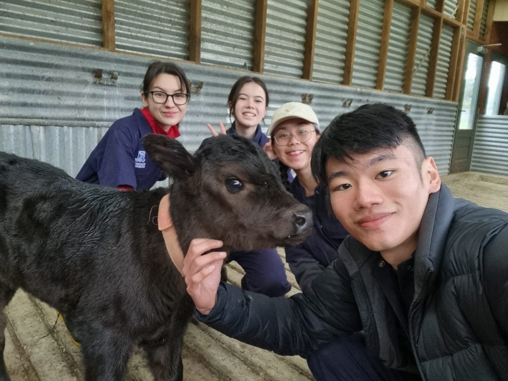 Celebrating the human-animal bond - NUS Faculty of Science | NUS ...