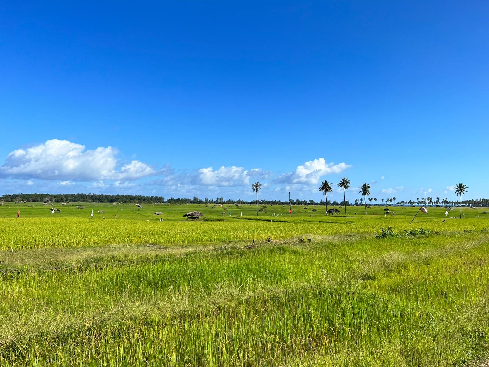 Annual Report 2022 - Shaping Future Society