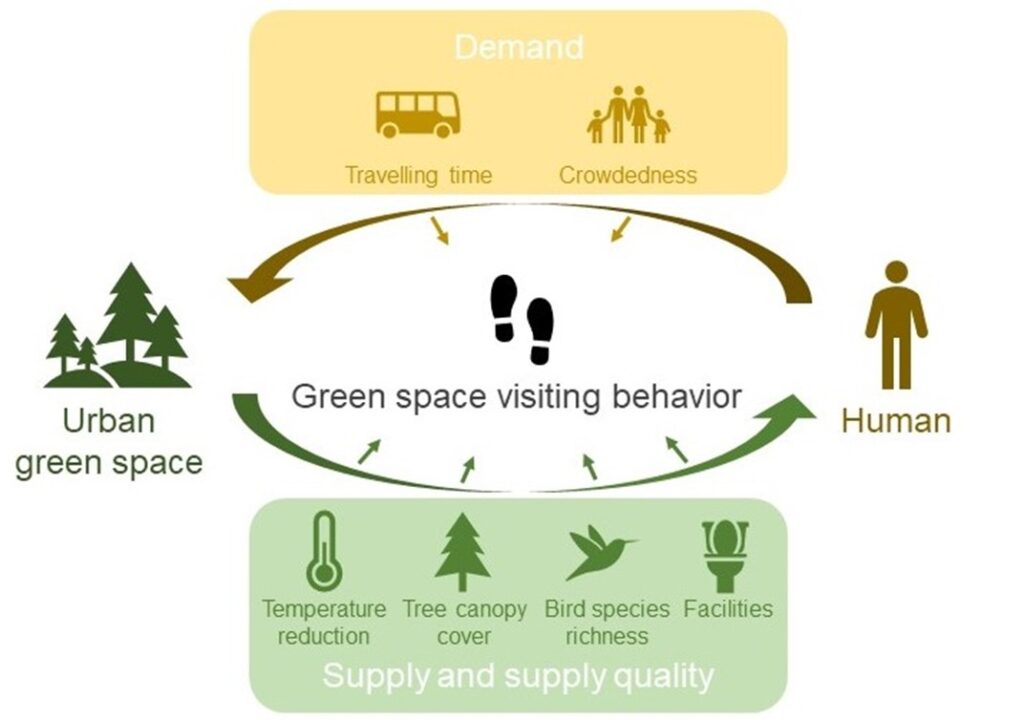 Incorporating users’ adaptive behaviour in urban green space planning ...