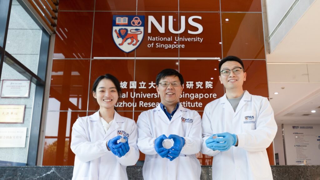 NUS scientists develop plant-based cell culture scaffold for cheaper ...