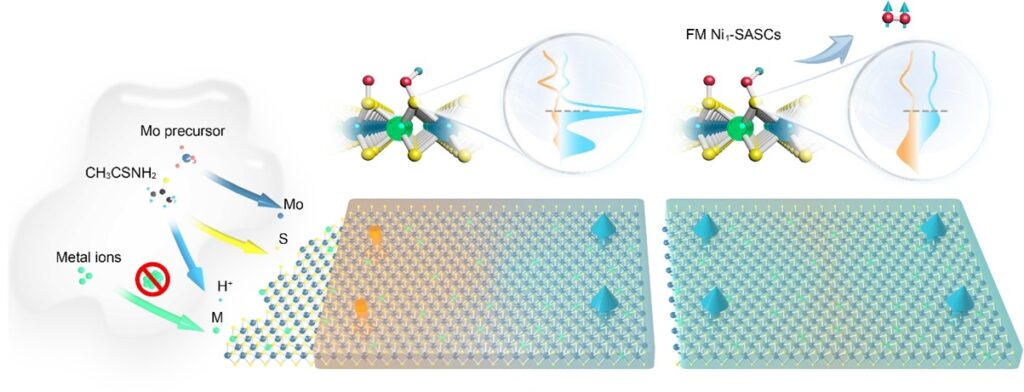 Ferromagnetic single-atom spin catalyst for boosting water splitting ...