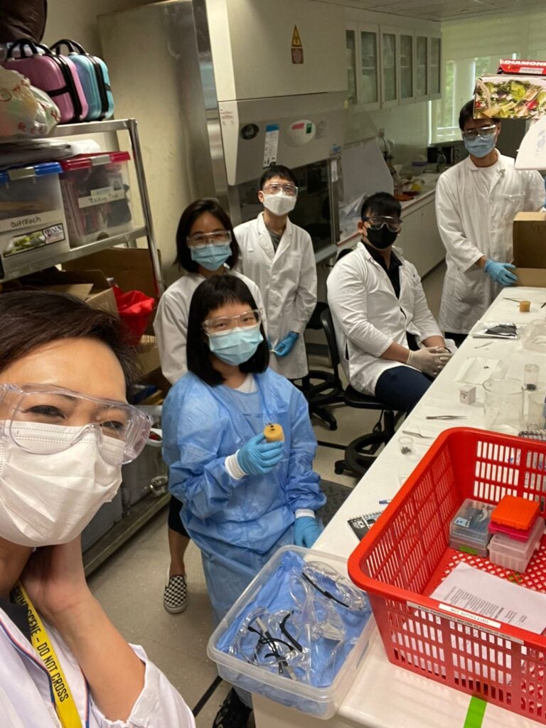 Fly artefacts or bloodstains? - NUS Faculty of Science | NUS Faculty of ...