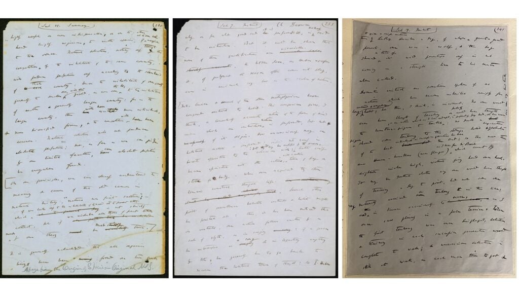 All surviving drafts, including three rediscovered pages, of Origin of ...