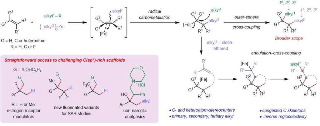 Earth-abundant iron catalysis enables access to valuable dialkylated ...