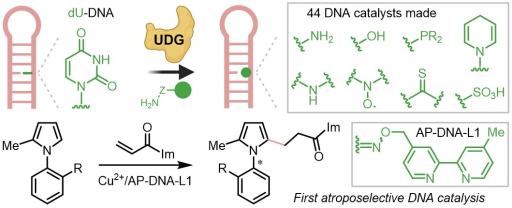 Asymmetric catalysis with DNA hybrid catalysts - NUS Faculty of Science ...