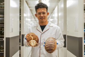 New giant isopod species, Bathynomus vaderi - NUS Faculty of Science ...