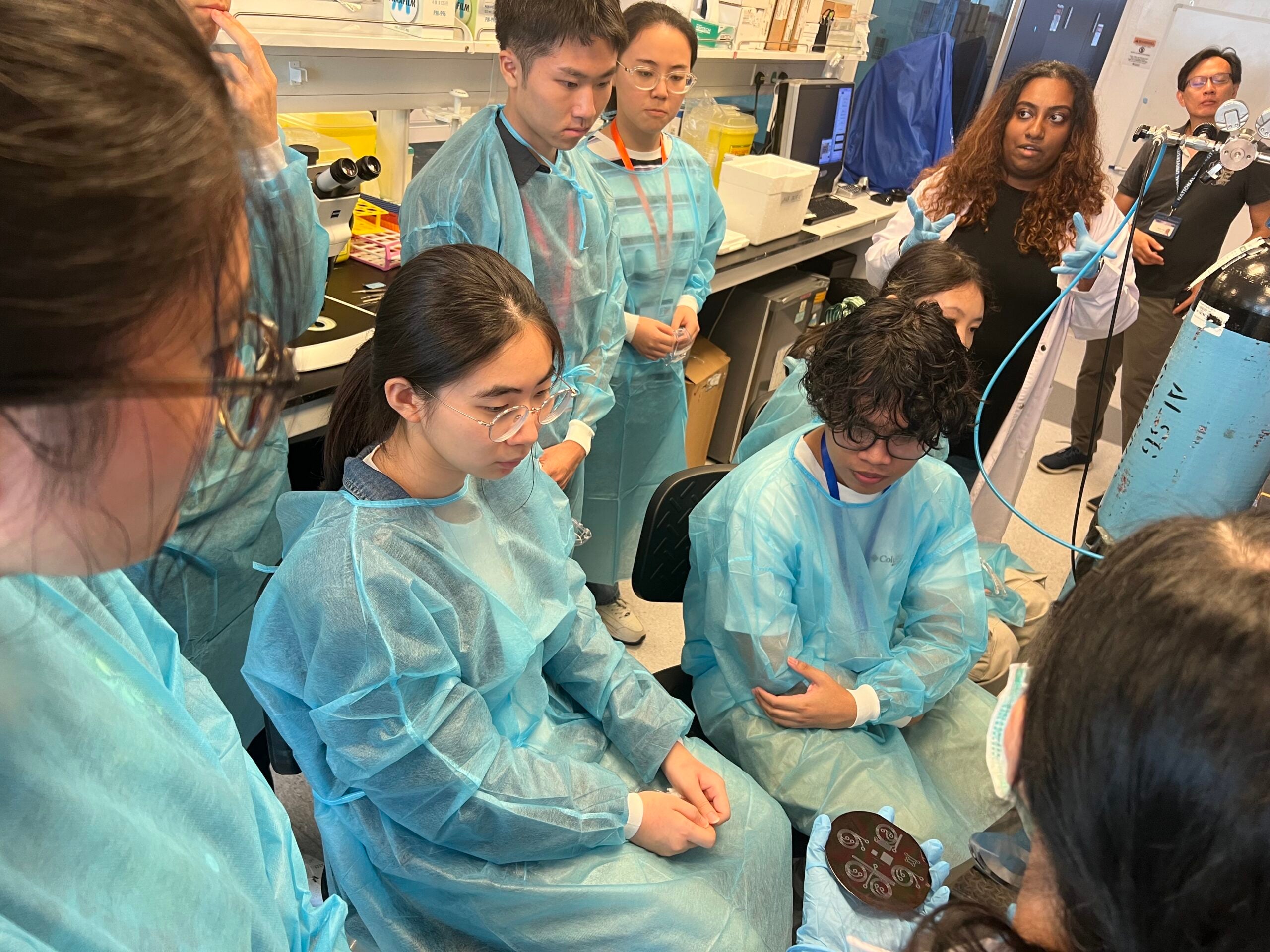 NUS Science Summer Institute 2025 - NUS Faculty of Science | NUS Faculty of Science