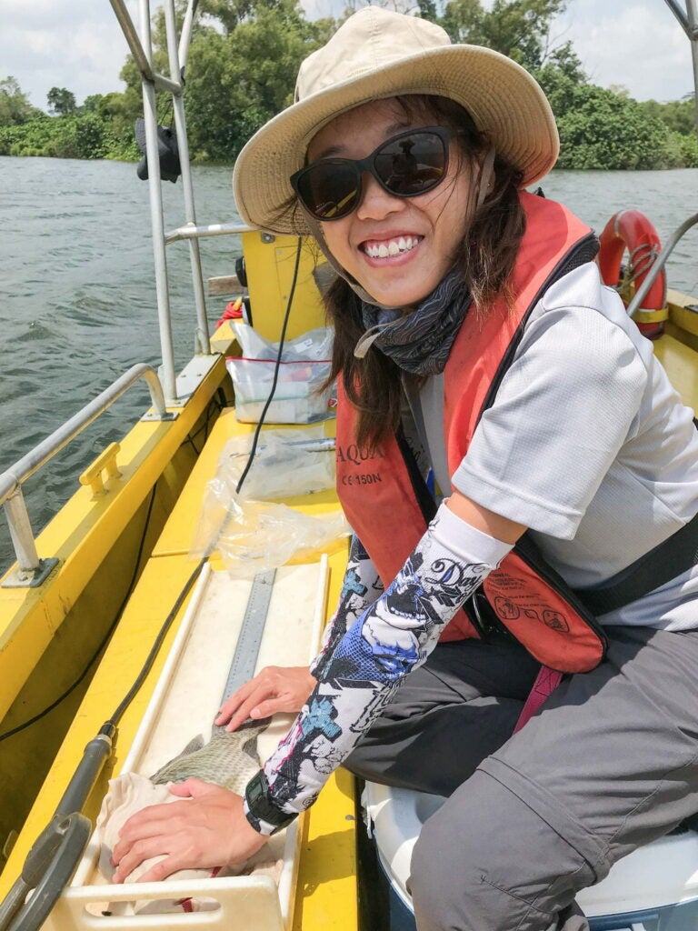 Diving into Singapore’s marine ecology - NUS Faculty of Science | NUS ...