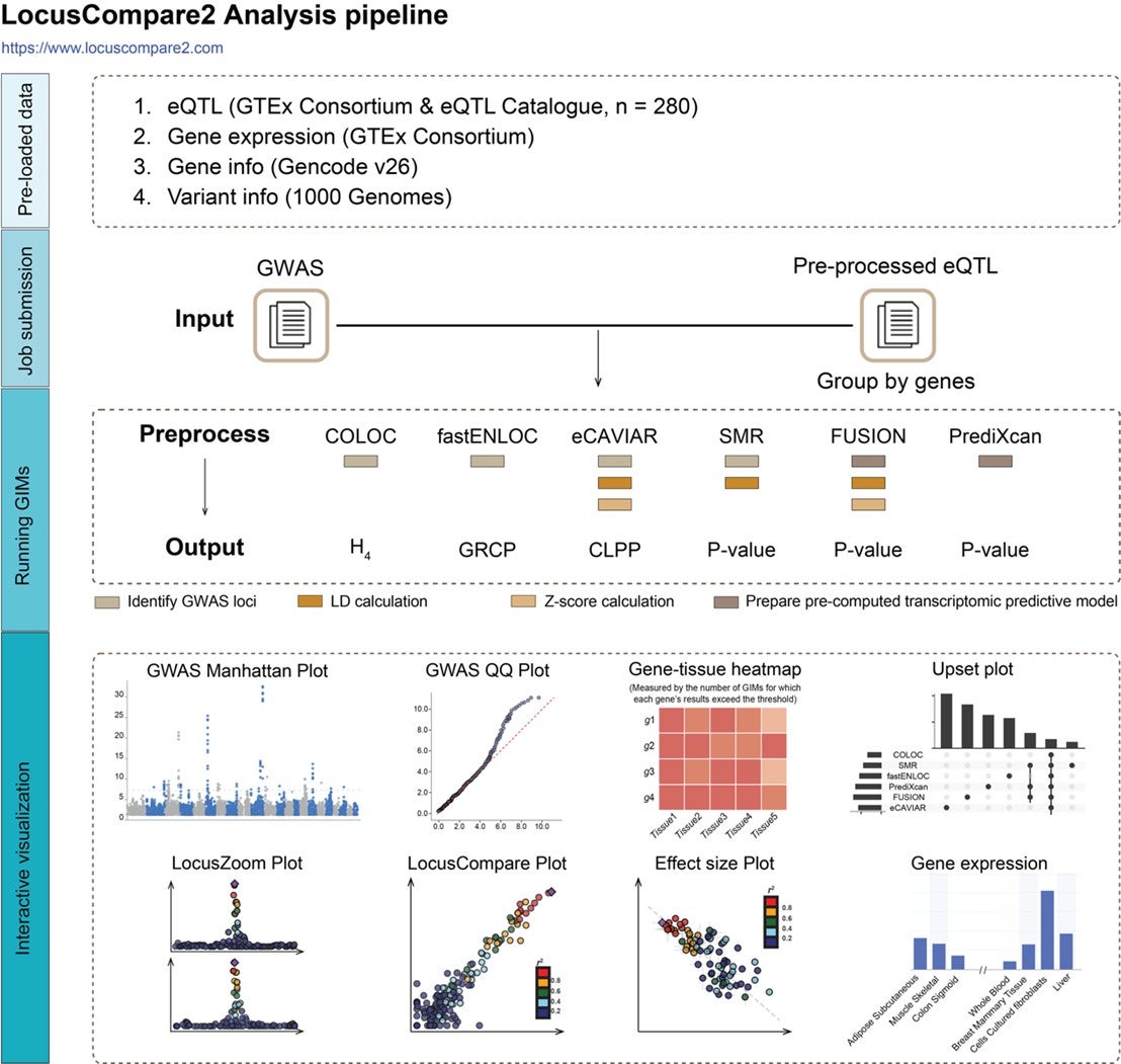 Strategies to find potential causal genes related to GWAS risk loci using LocusCompare2 - NUS ...