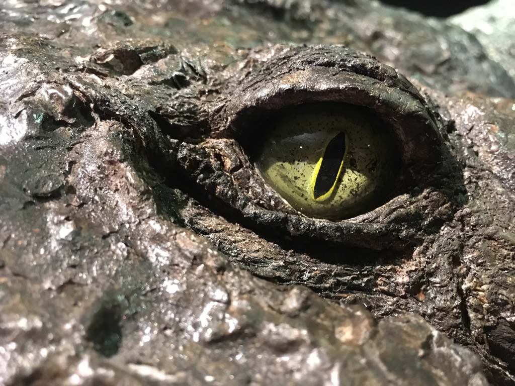 Air Tenang - NUS LKCNHM