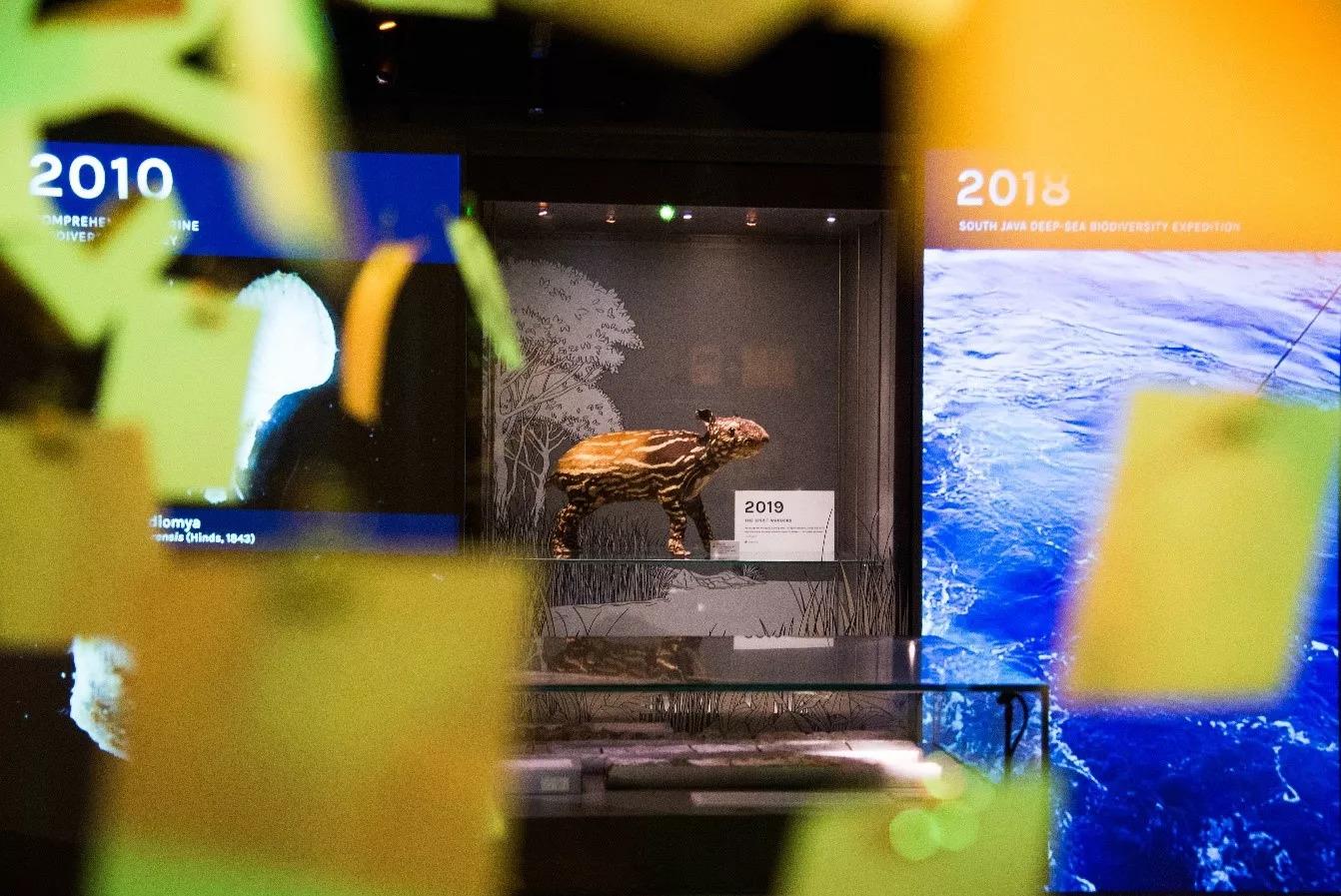 200: A Natural History - NUS LKCNHM