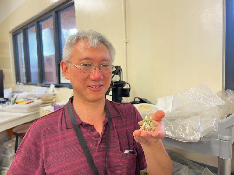 Friends of the Museum: Prof Shane Ahyong - NUS LKCNHM